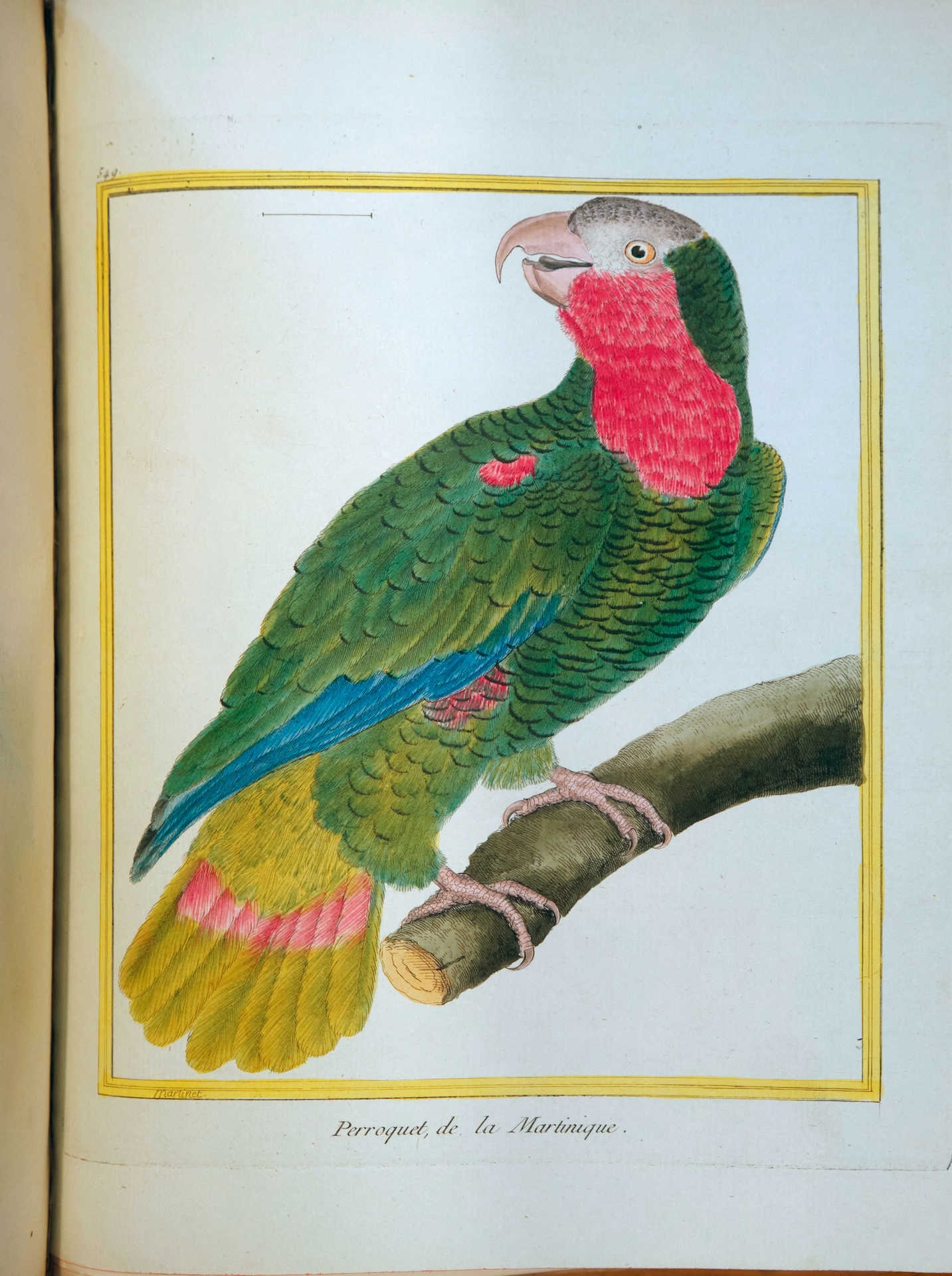 Celebrating our Rare Books - Inner Temple Yearbook